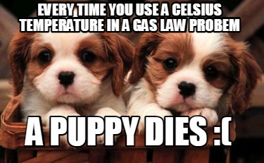 Meme Maker - Every Time You Use a Celsius temperature in a gas Law ...