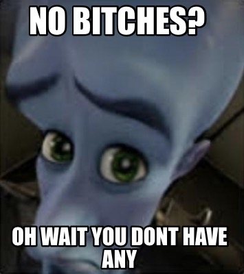 Meme Maker - NO BITCHES? OH WAIT YOU DONT HAVE ANY Meme Generator!