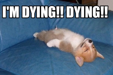 Meme Maker - I'm dying!! Dying!! Meme Generator!
