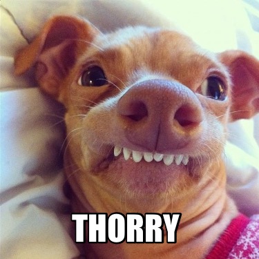 Meme Maker - Thorry Meme Generator!