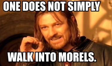 Meme Maker - One does not simply walk into morels. Meme Generator!