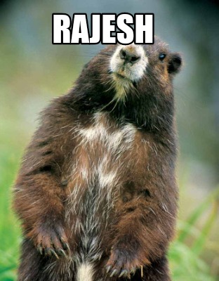 Meme Maker - Rajesh Meme Generator!