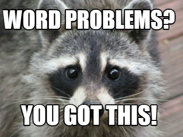 Raccoon Meme Excellent