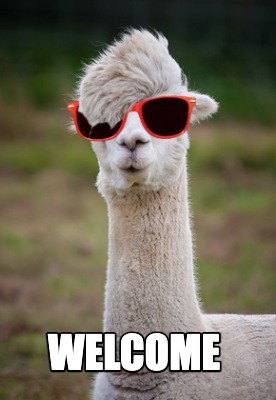 Meme Maker - Welcome Meme Generator!