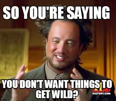 Meme Maker - so you're saying you don't want things to get wild? Meme ...