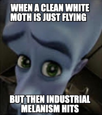 Meme Maker - when a clean white moth is just flying but then industrial ...