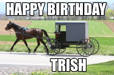 Meme Maker - Happy Birthday Trish Meme Generator!