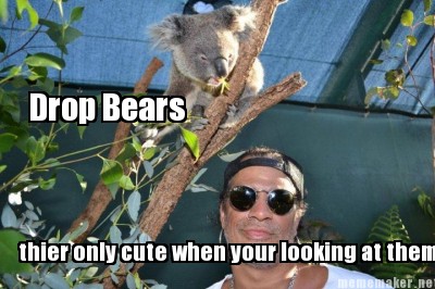 Meme Maker - Drop Bears thier only cute when your looking at them Meme ...