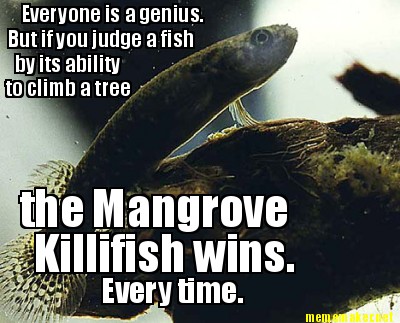 Meme Maker - Everyone is a genius. But if you judge a fish by its ...