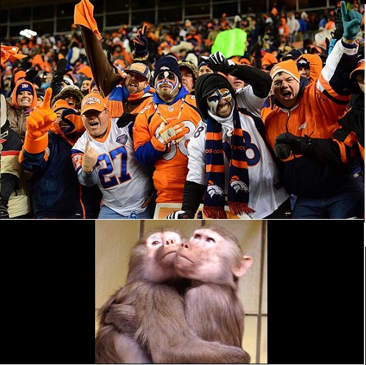 Meme Maker - monke Meme Generator at Meme Maker!