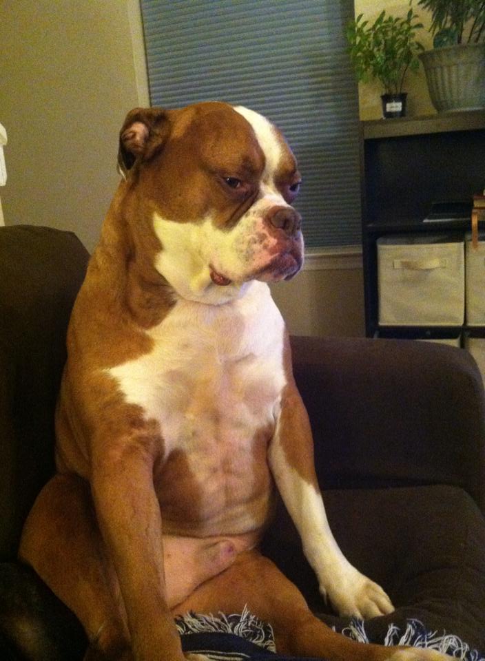 Sad Realization Meme