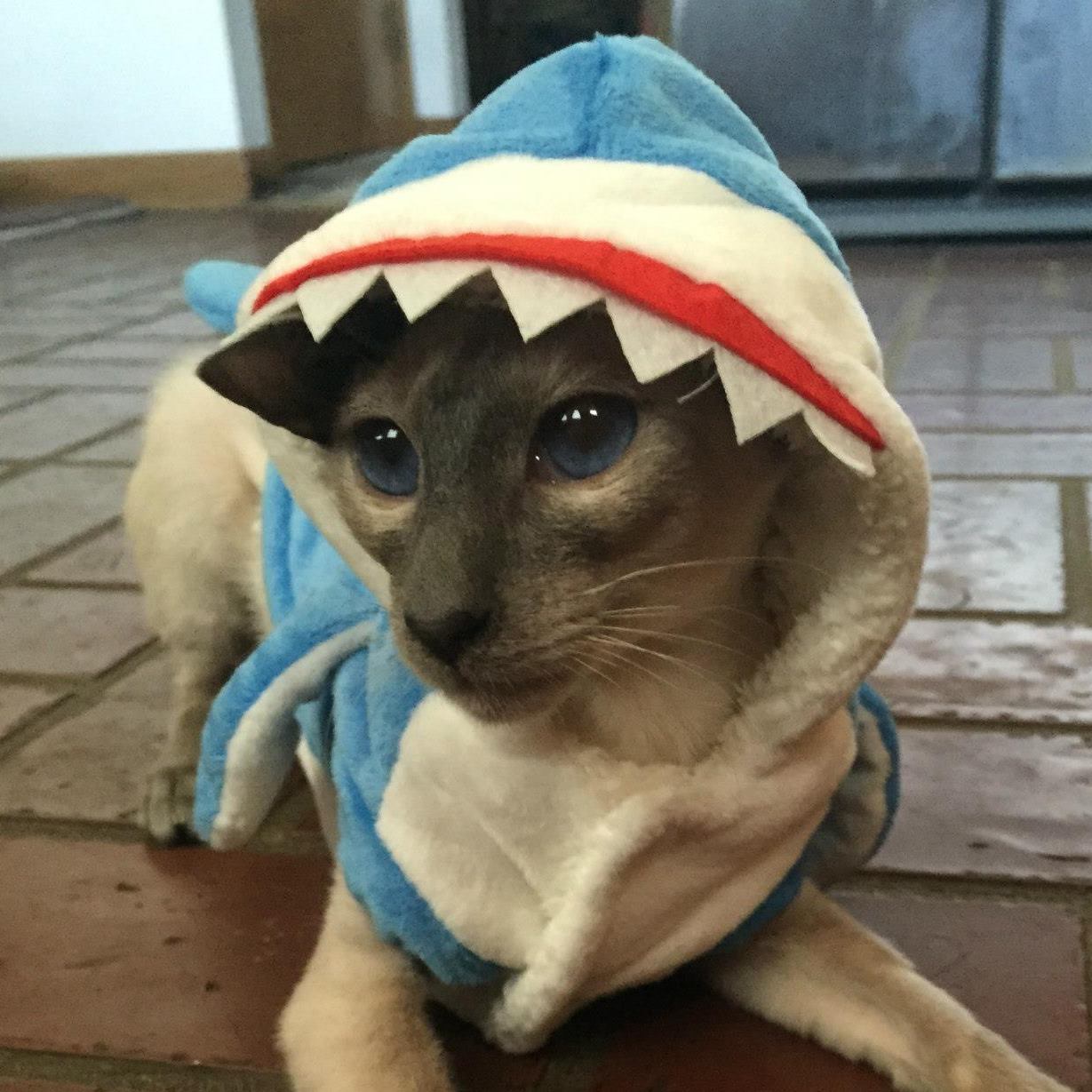 Meme Maker - Sterling Meme Generator at Meme Maker!