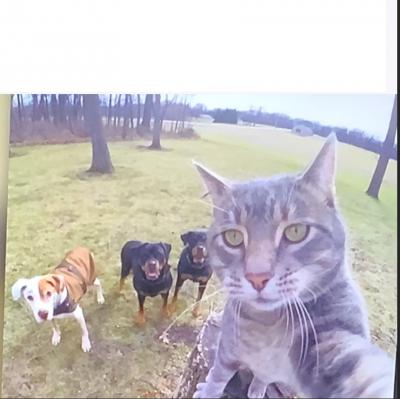 Meme Maker - Me and the homies Meme Generator at Meme Maker!