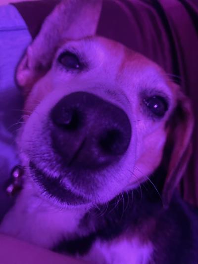 Meme Maker - Happy chain mail Meme Generator at Meme Maker!