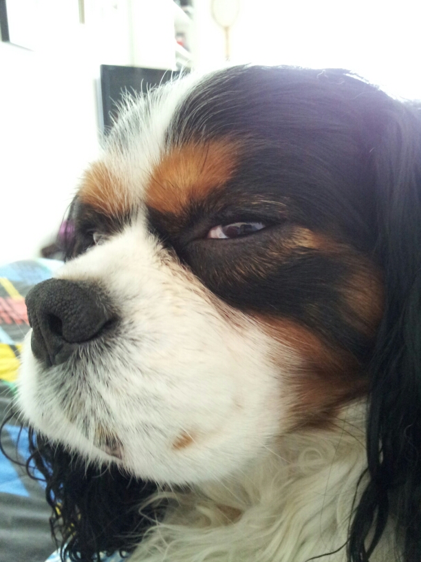 Meme Maker - ce vuè Meme Generator at Meme Maker!