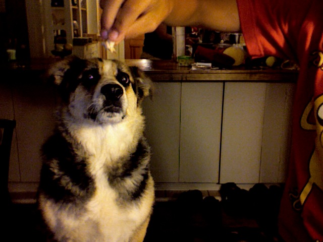 Meme Maker - Nora Meme Generator at Meme Maker!